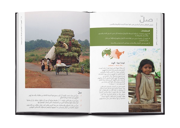 Inner page layout. Arabic language.